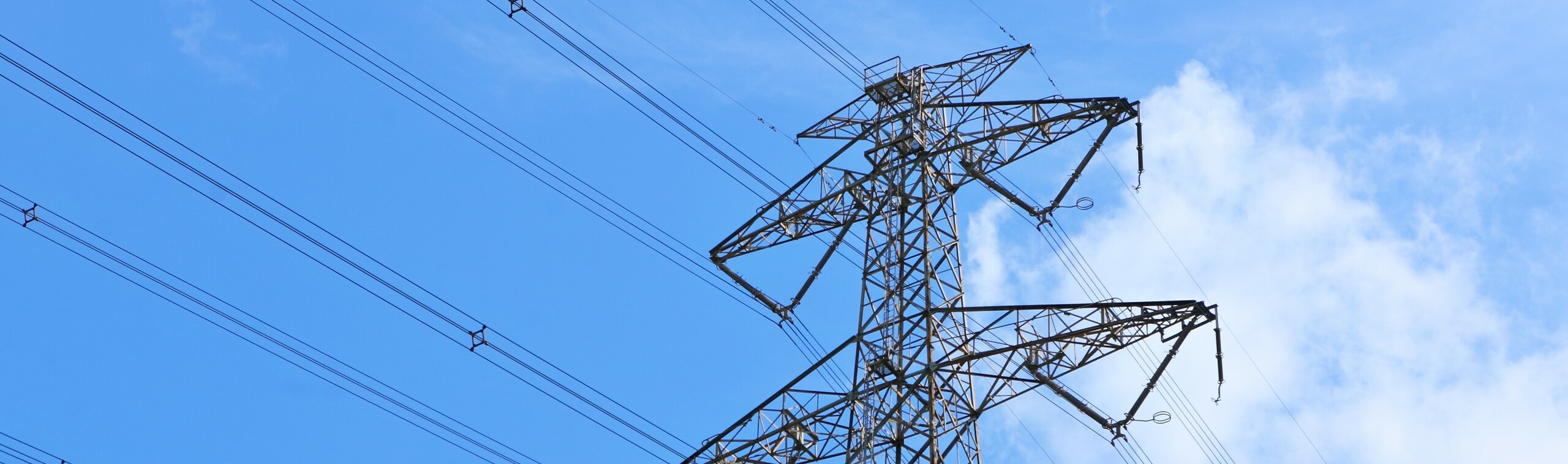 Atrem S.A. urósł prawie 10% w minionym roku, wzbogacając portfolio w ...